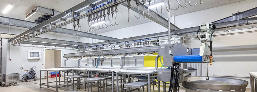 A complete guide to food grade hoists | Stratalign Limited